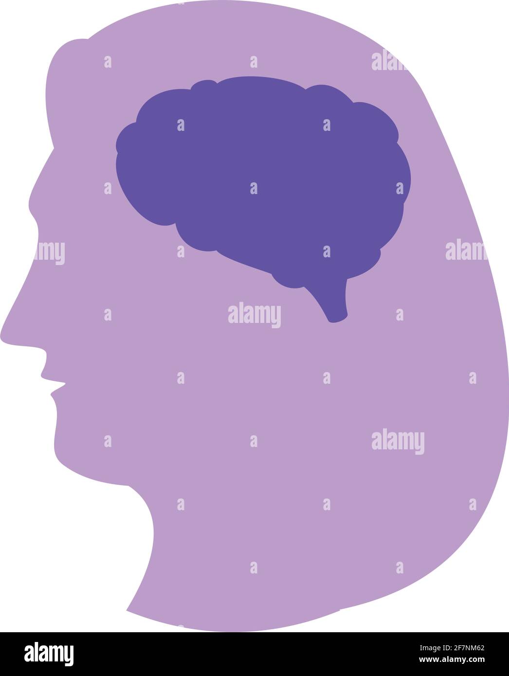 female head brain Stock Vector Image & Art - Alamy
