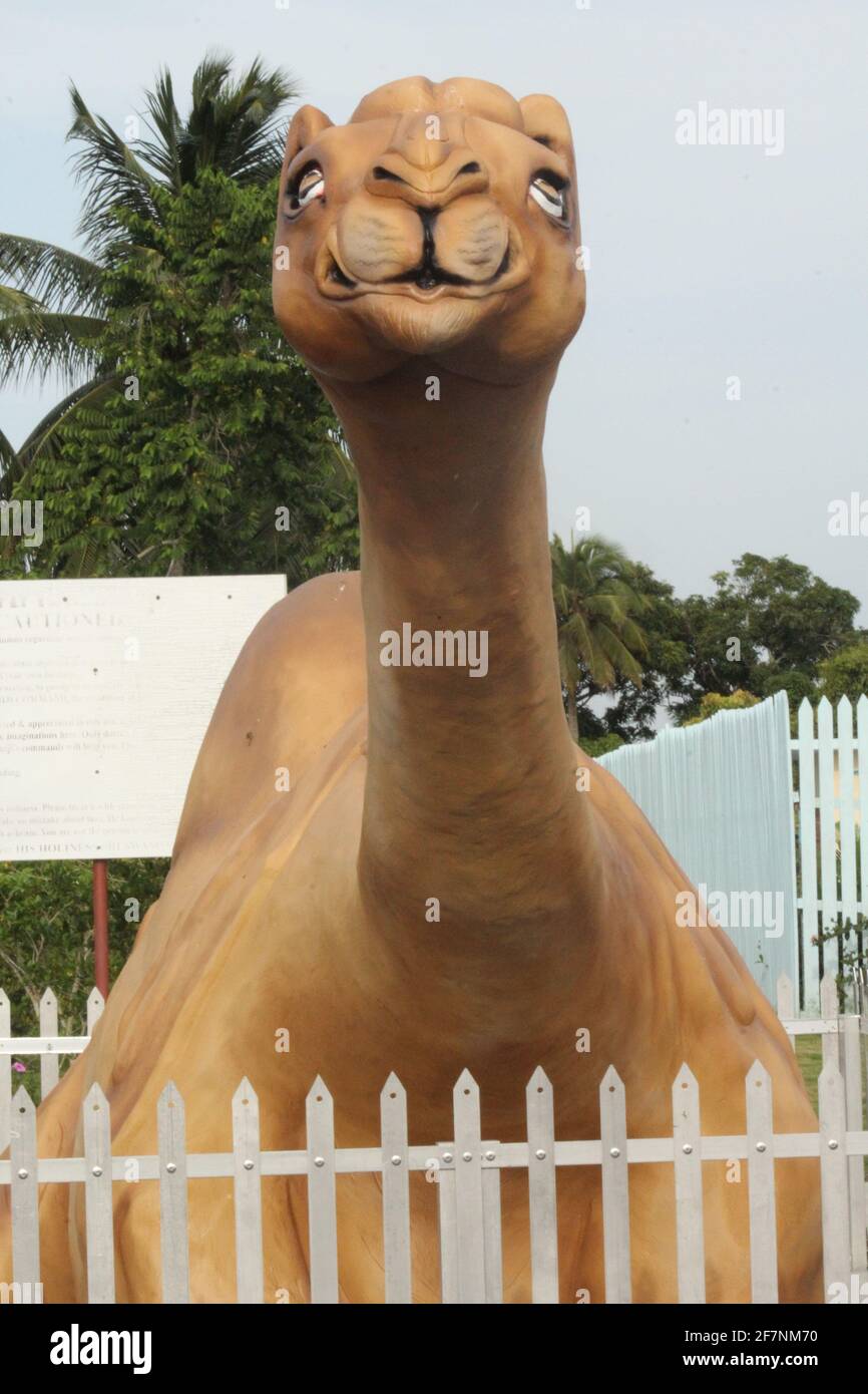 Camel statue hi-res stock photography and images - Alamy