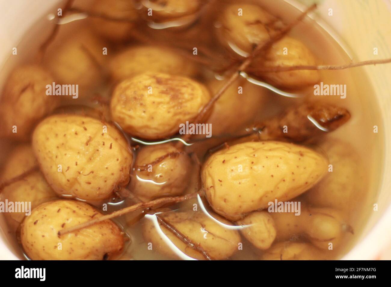 Guinea arrowroot hi-res stock photography and images - Alamy