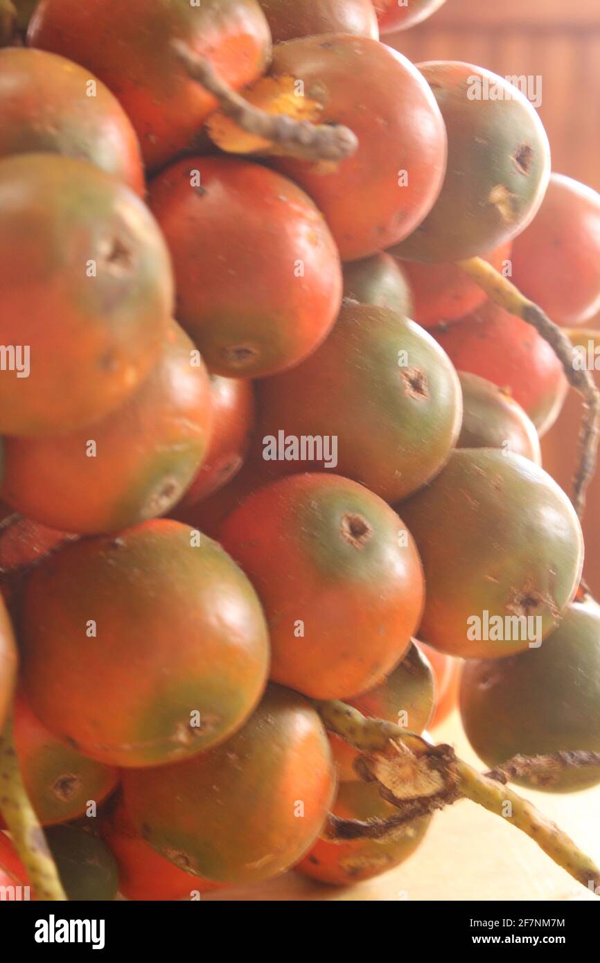 Peach Palm Fruit close up Stock Photo - Alamy
