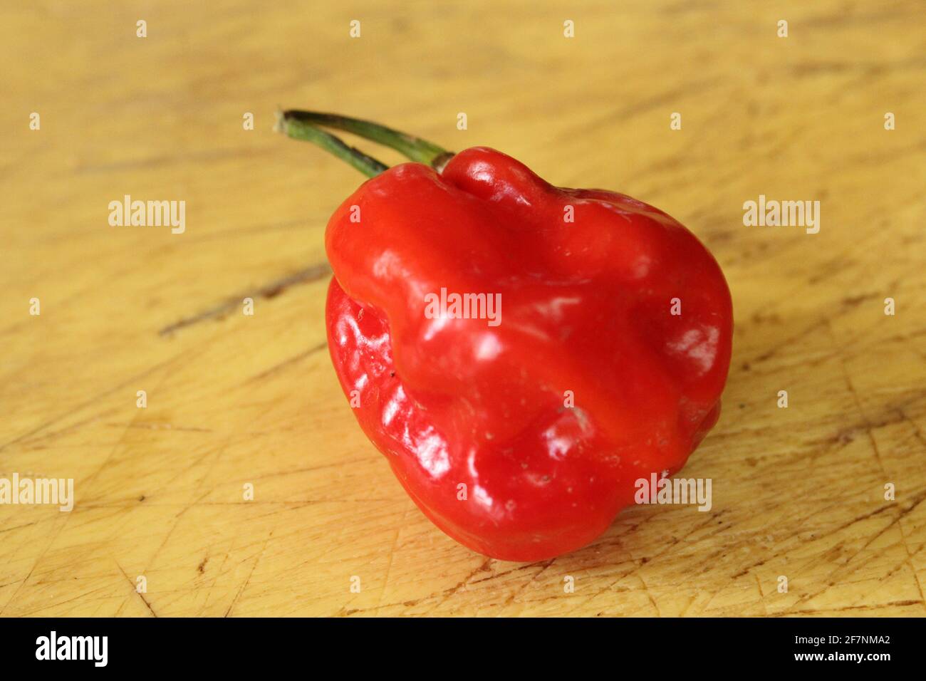 Scotch bonnet chili studio hi-res stock photography and images - Alamy