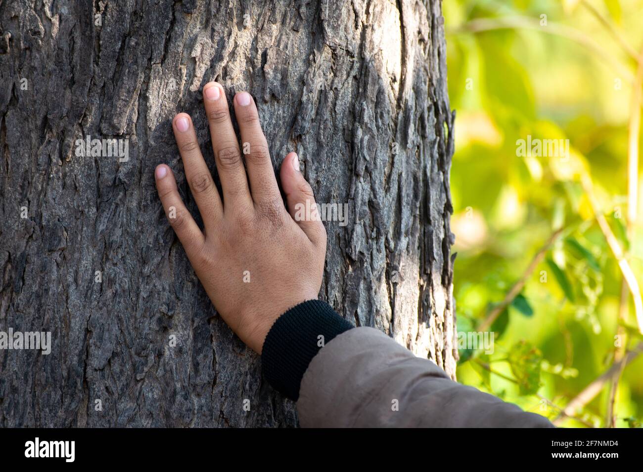 Save tree hi-res stock photography and images - Alamy