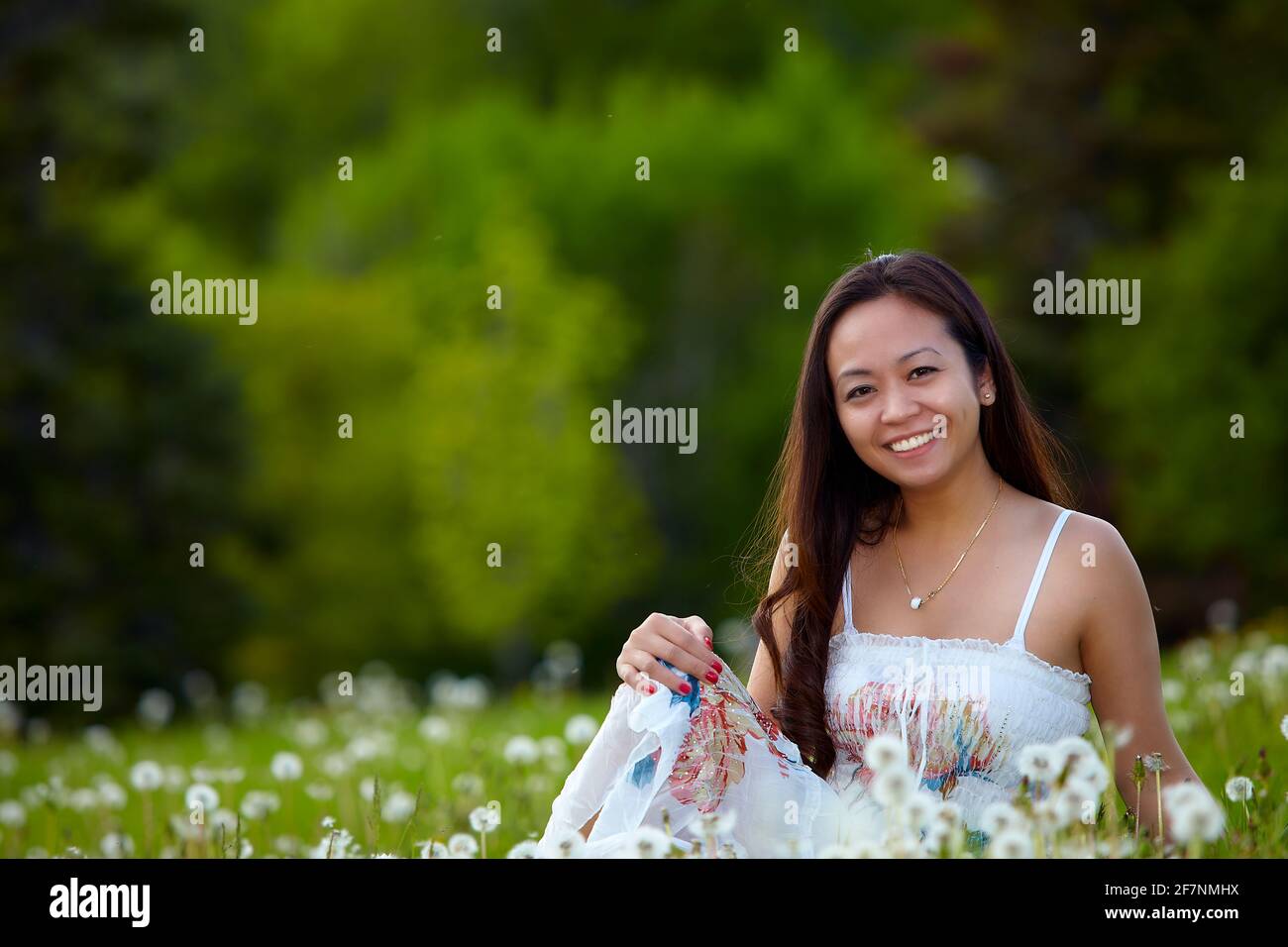 Side view of filipino female sitting on grass in a field of dandelions ...