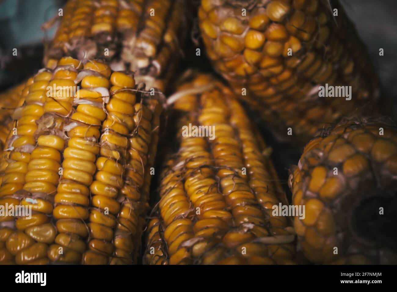 Charred kernels hi-res stock photography and images - Alamy