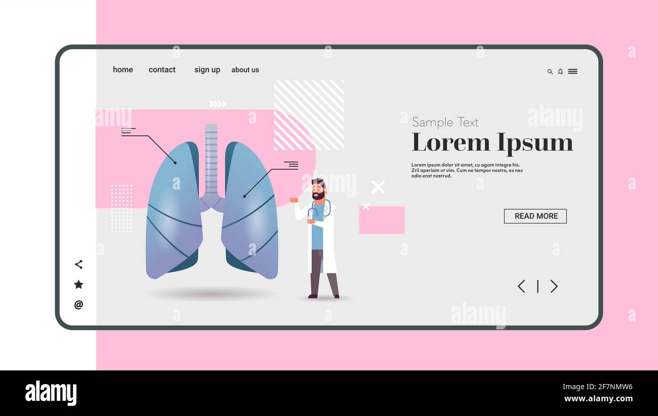 male doctor examining human lungs medical consultation internal organ ...