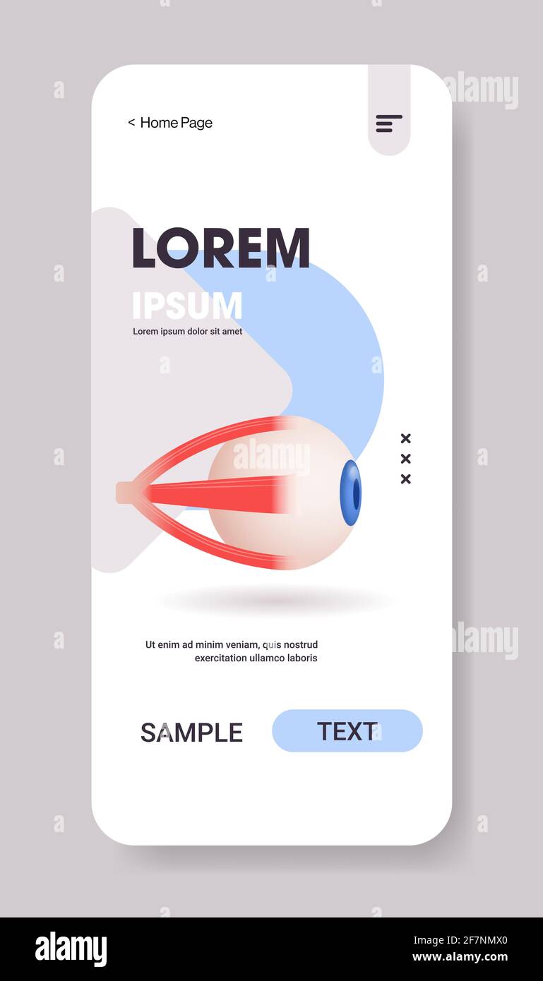 human eye icon internal organ structure detailed eyeball medical ...