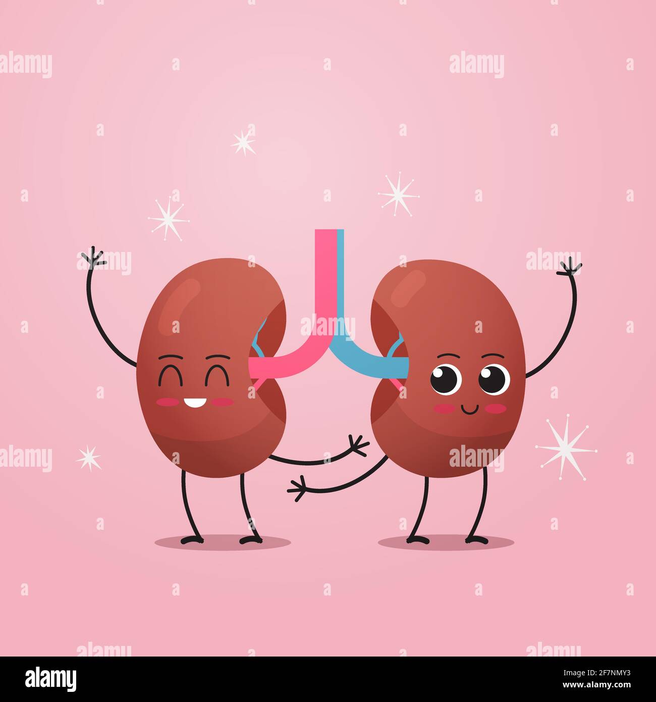 funny kidneys characters cute human internal organ mascot anatomy ...