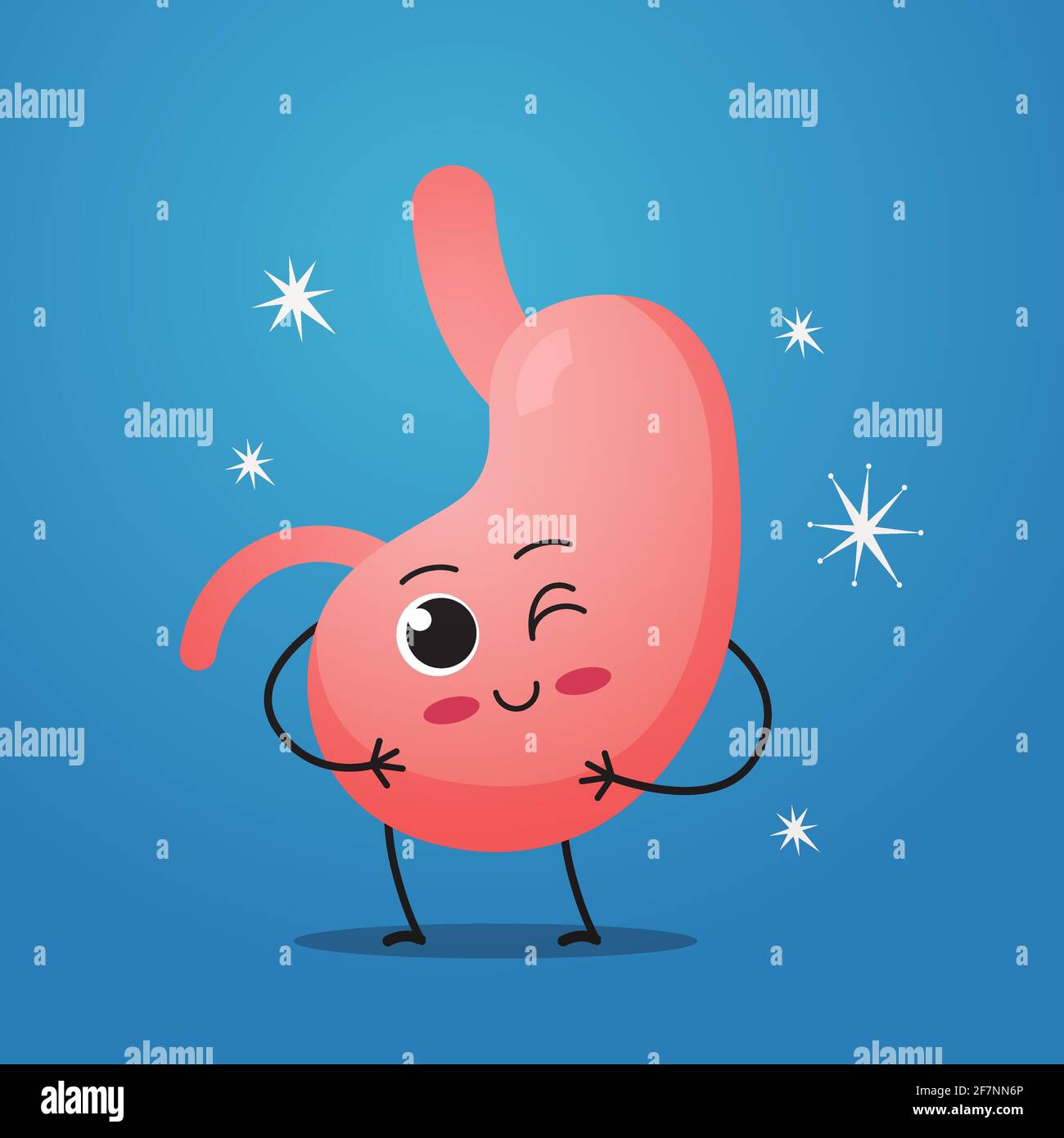 funny anatomical stomach character cute human internal organ mascot ...
