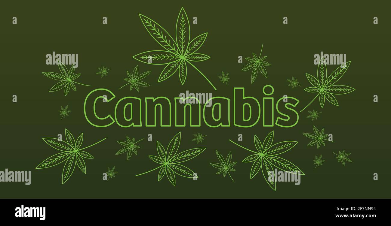 medical cannabis or marijuana leaves ganja legalize drug consumption ...