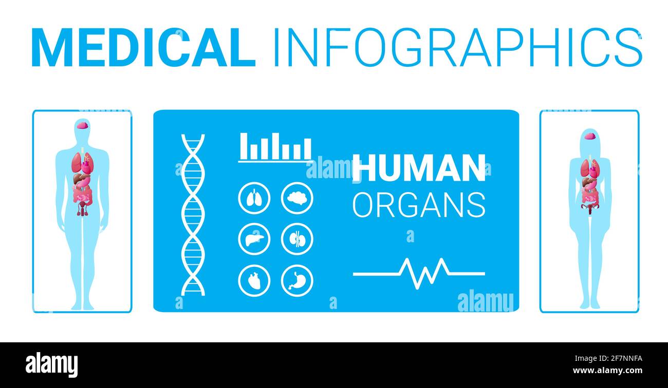 human body structure medical infographic poster with female male ...