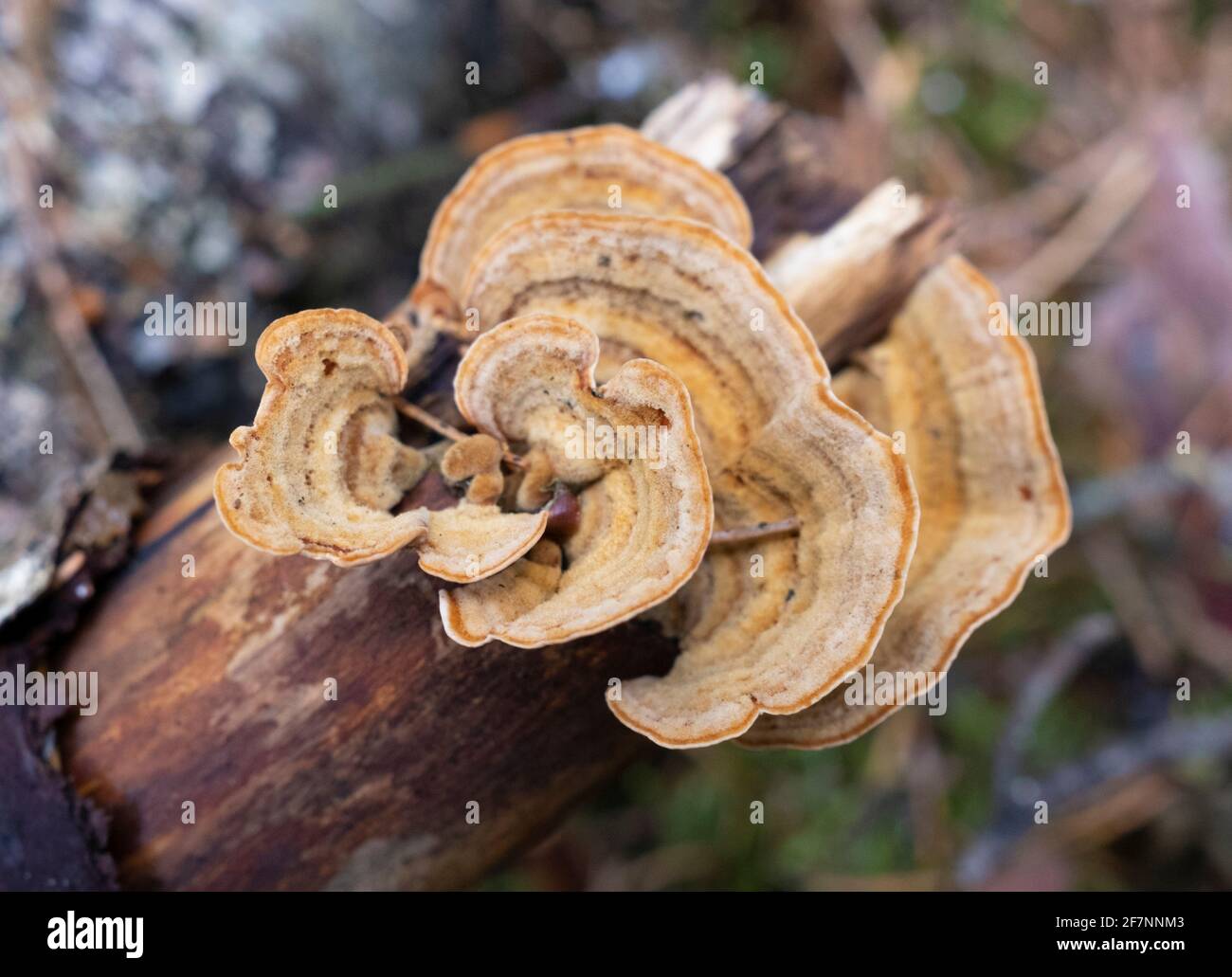 Diversity in stem hi-res stock photography and images - Alamy