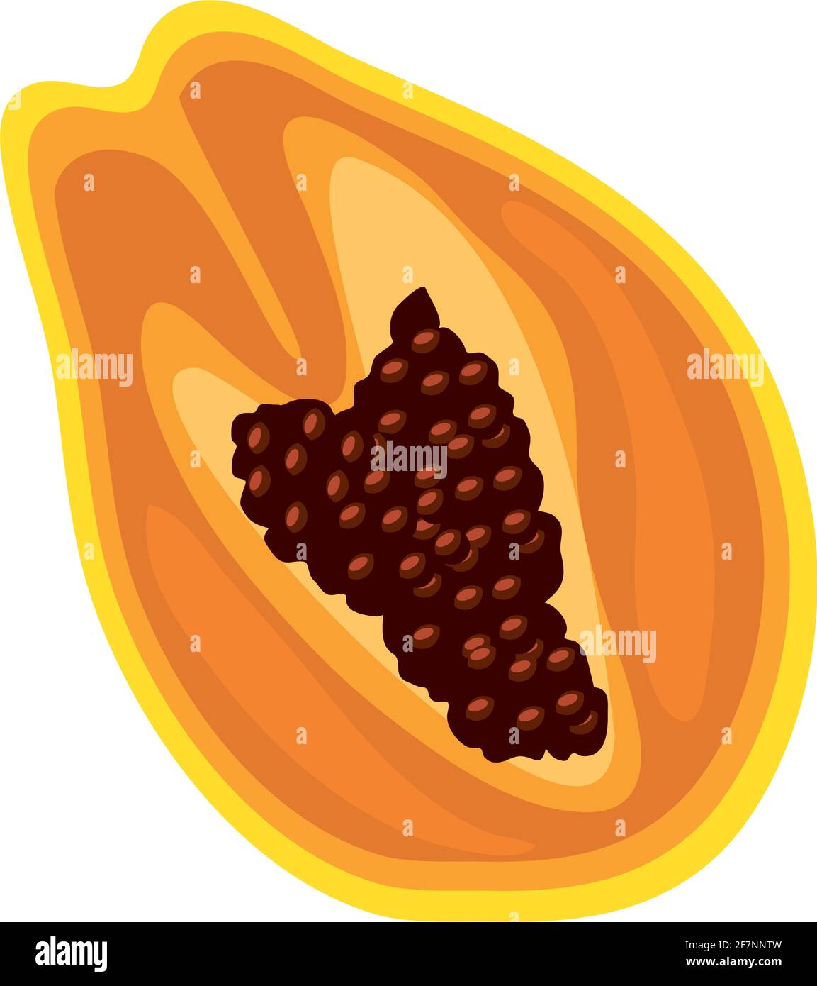 tropical fruit papaya Stock Vector Image & Art - Alamy