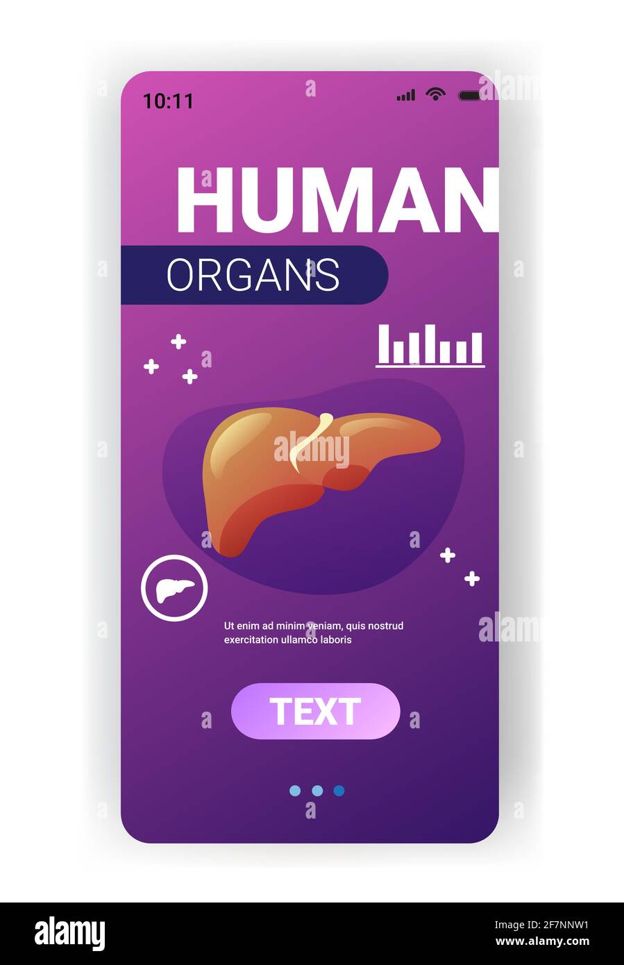 anatomical liver icon human body internal organ anatomy biology ...