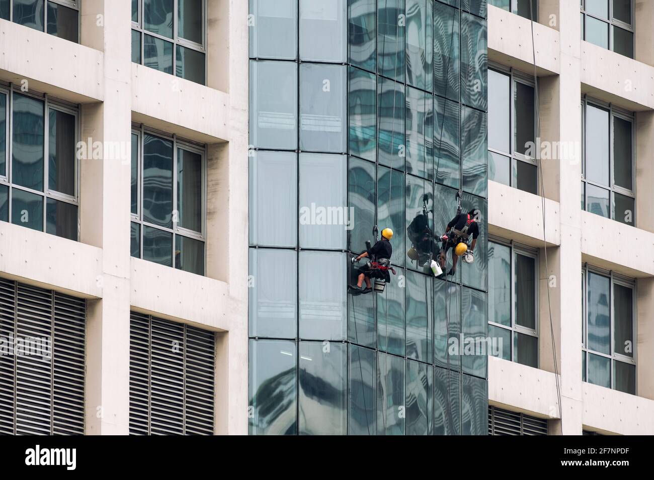 Group of worker men hanging sling with cleaning the window of modern ...