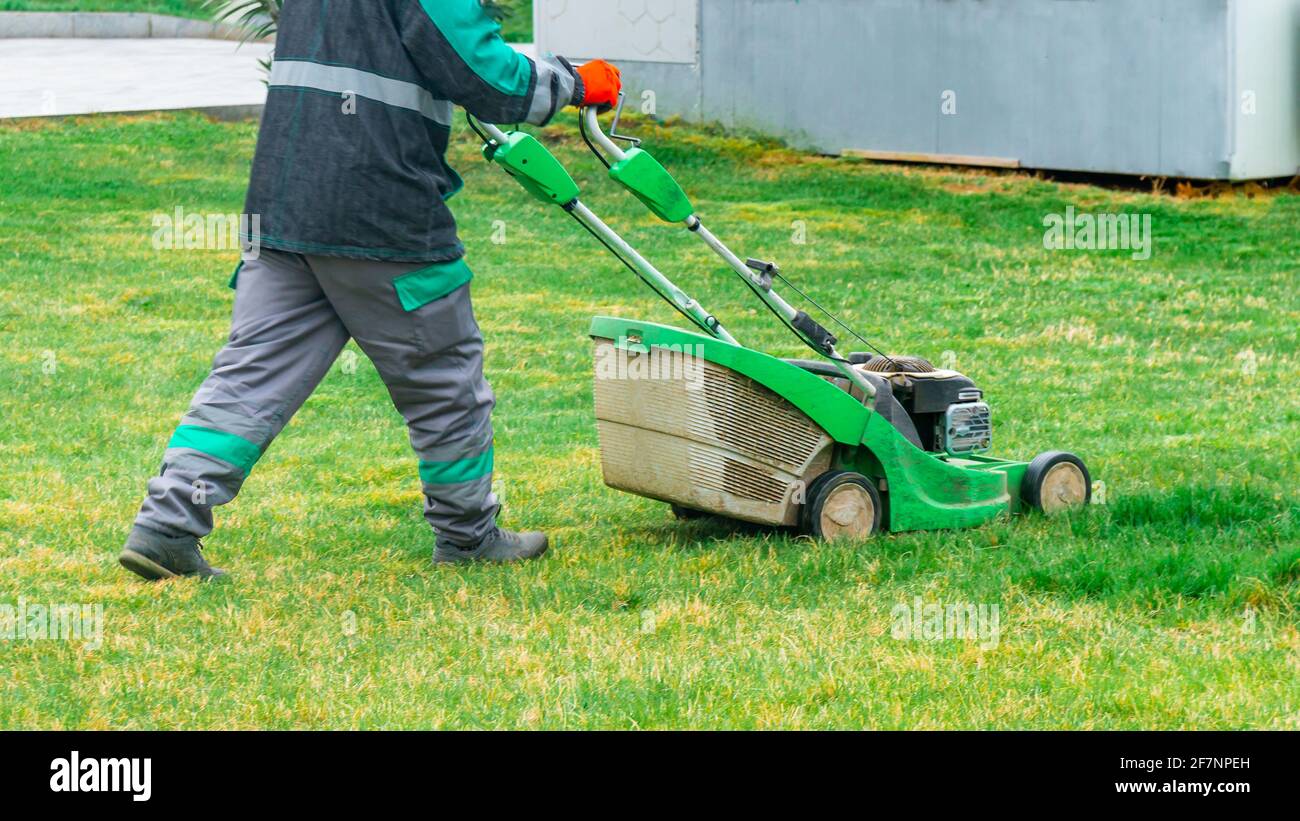 The gardener cutting grass by lawn mower. Park and outdoor Stock Photo ...