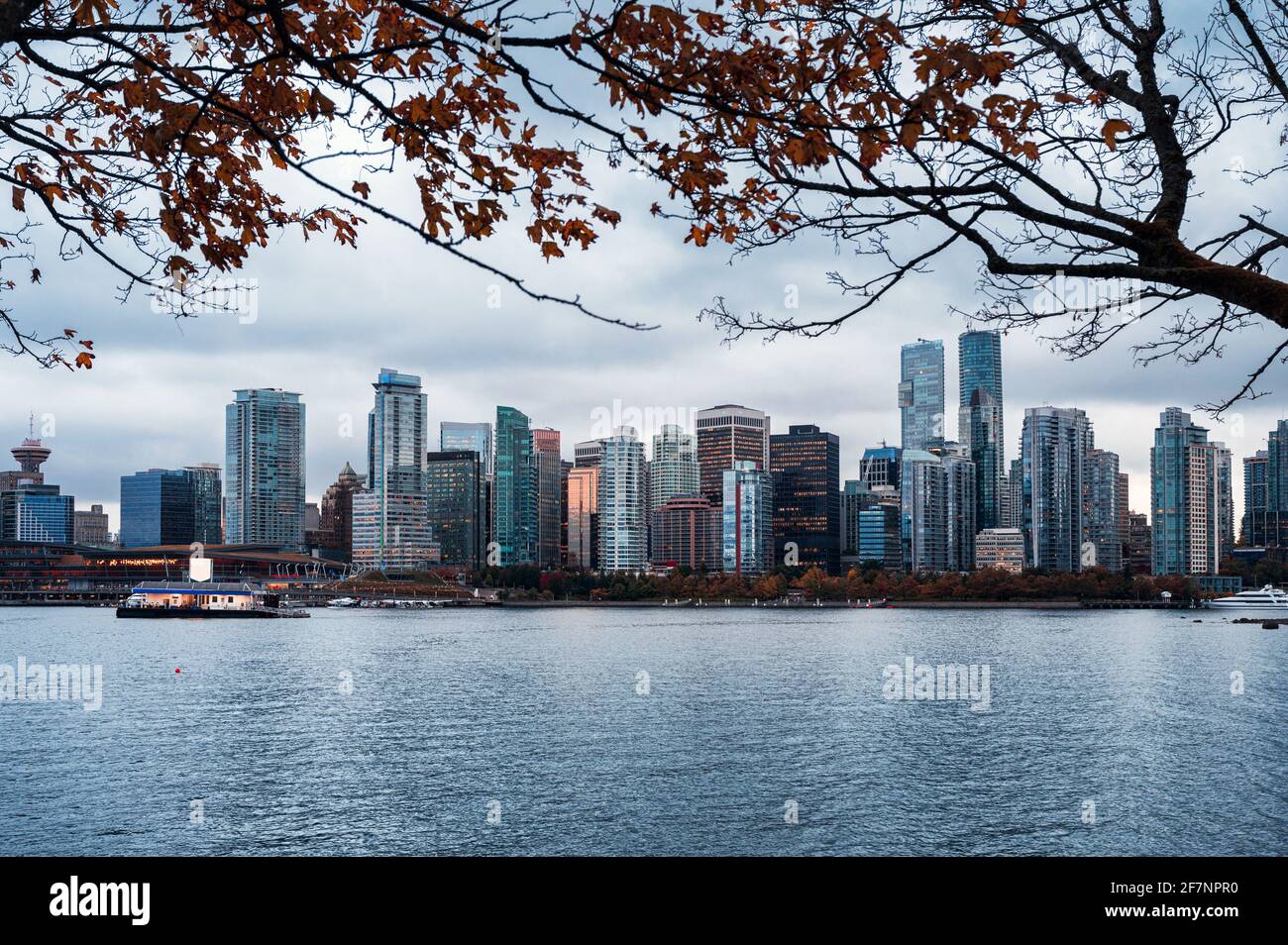 View from Stanley park with illuminated office building and skyscraper ...
