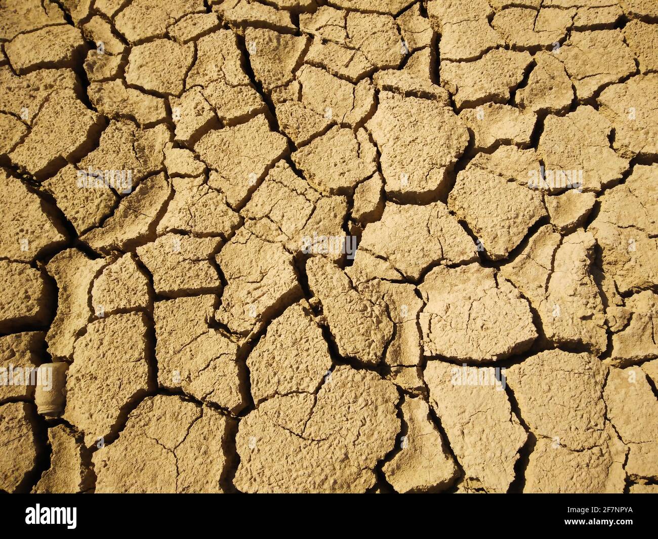 natural background texture Stock Photo - Alamy