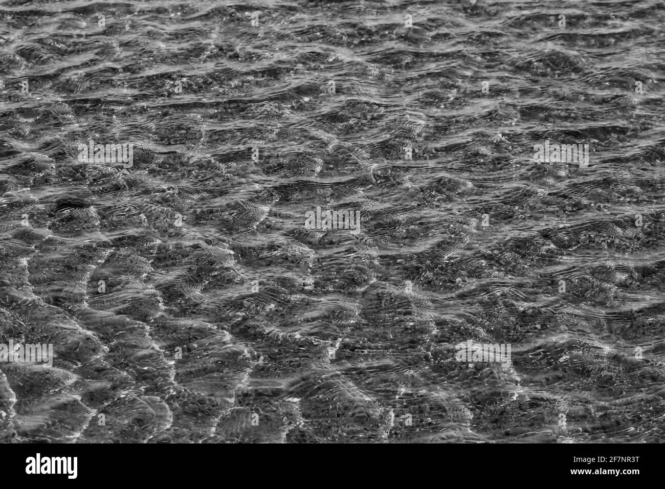 Pool water texture Black and White Stock Photos & Images - Alamy