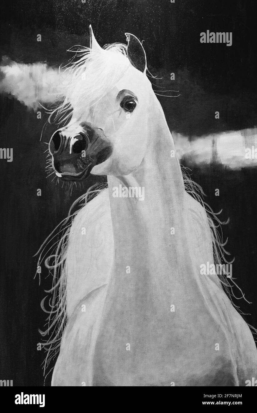 Texture background abstract oil painting on Black and White Stock ...