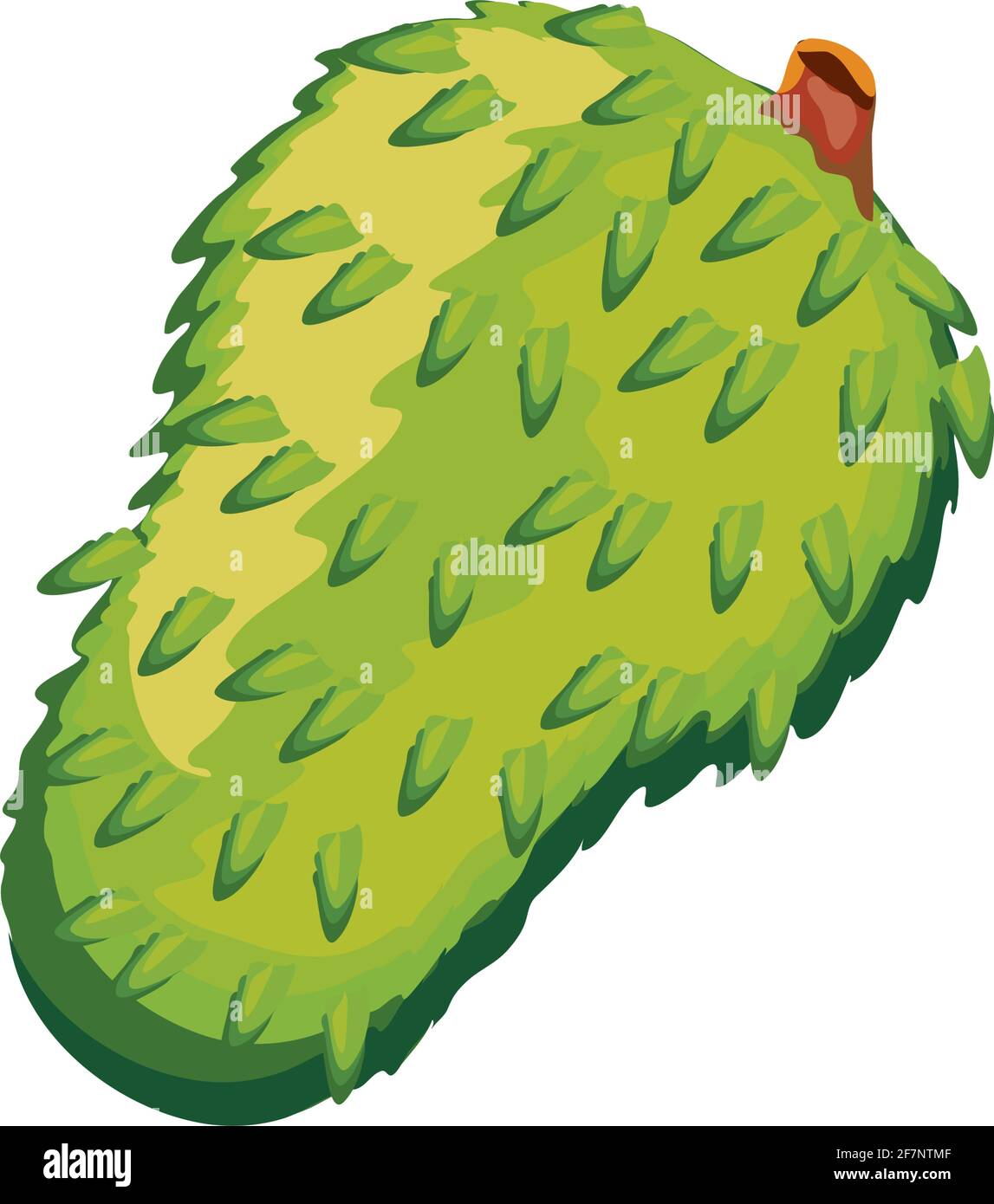tropical fruit soursop Stock Vector Image & Art - Alamy