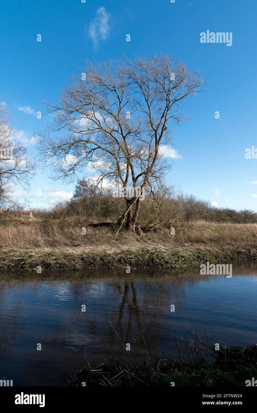 River Tame, in the West Midlands, England Stock Photo - Alamy