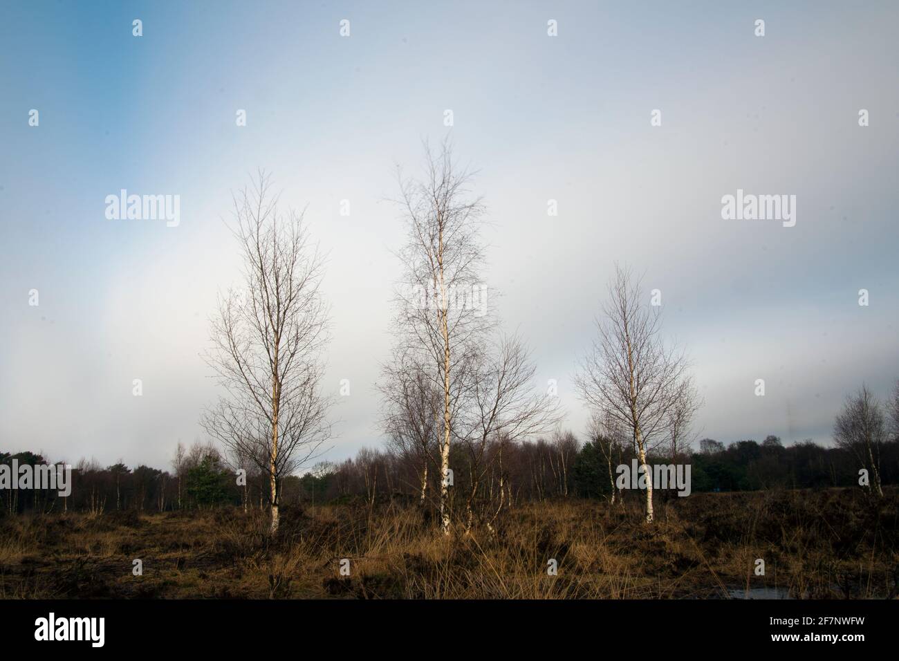 Sutton park west midlands spring hi-res stock photography and images ...