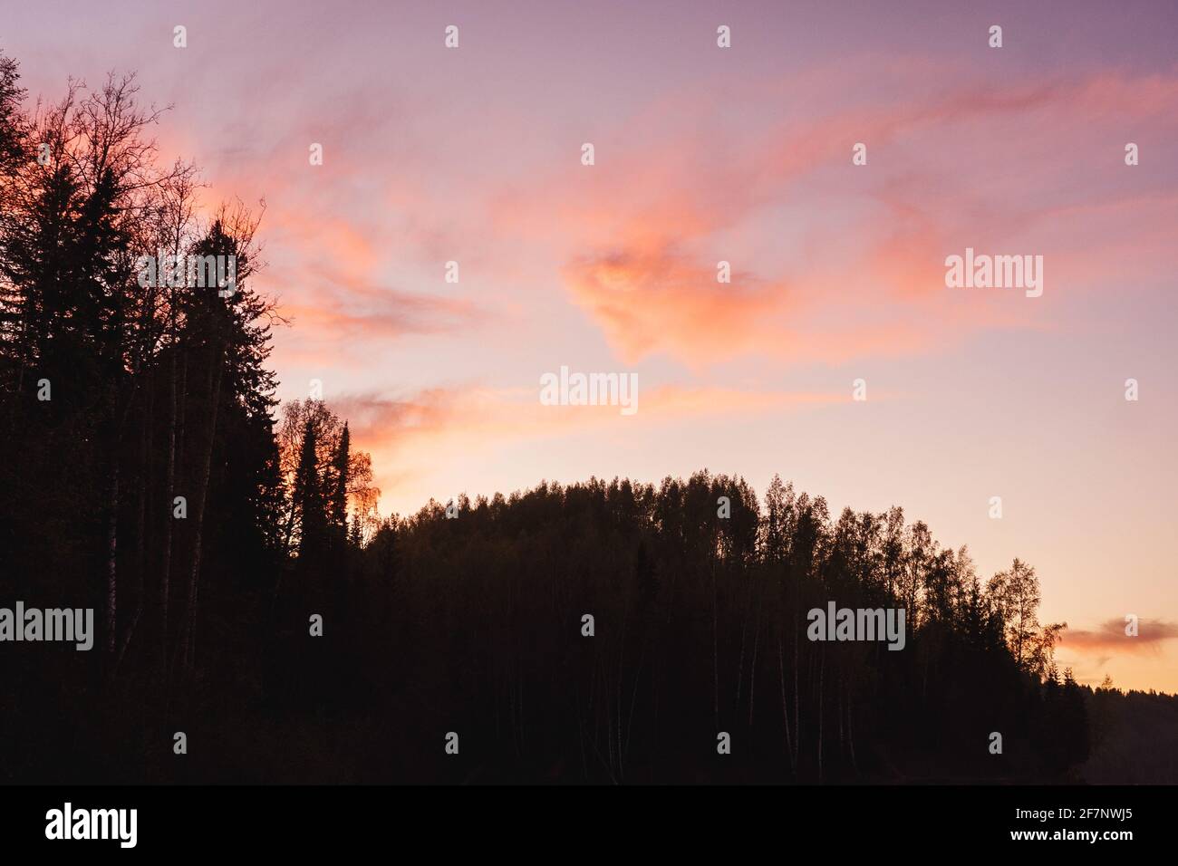 Beautiful sunset, pink clouds under forest. Copy space Stock Photo - Alamy