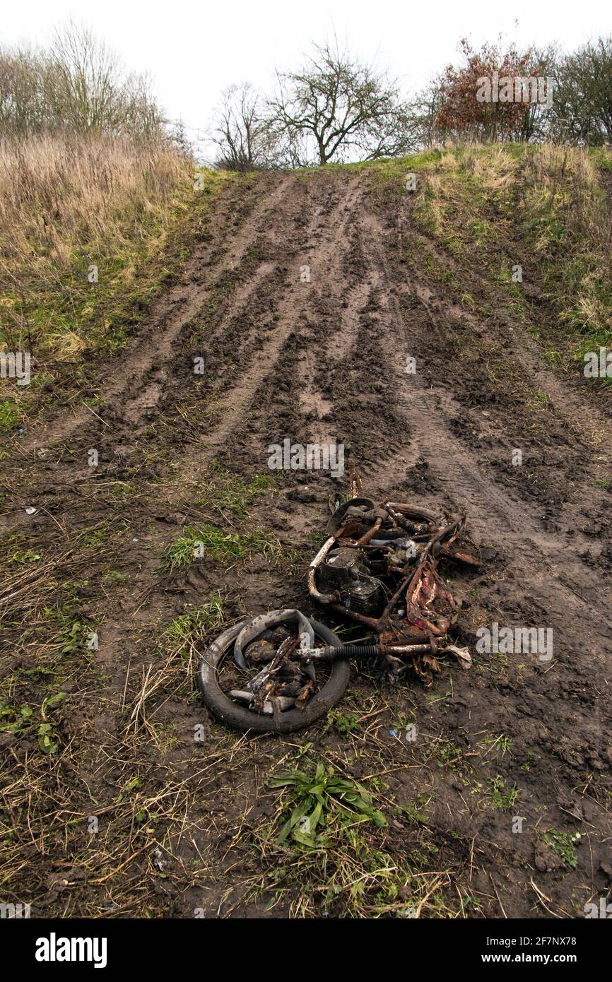Common blight hi-res stock photography and images - Alamy