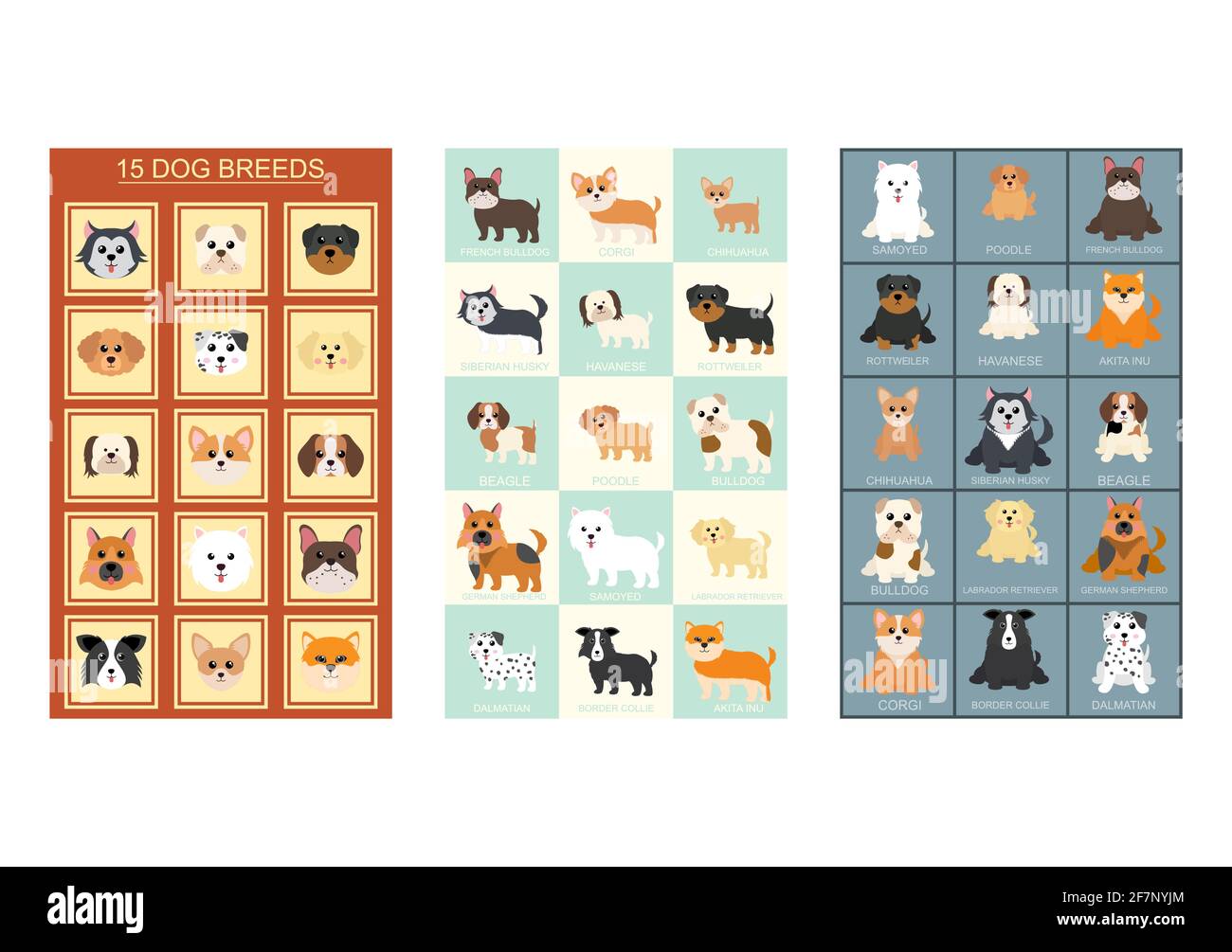 Collection of Cute Animals in Different Types of Dogs Can Be Used as ...