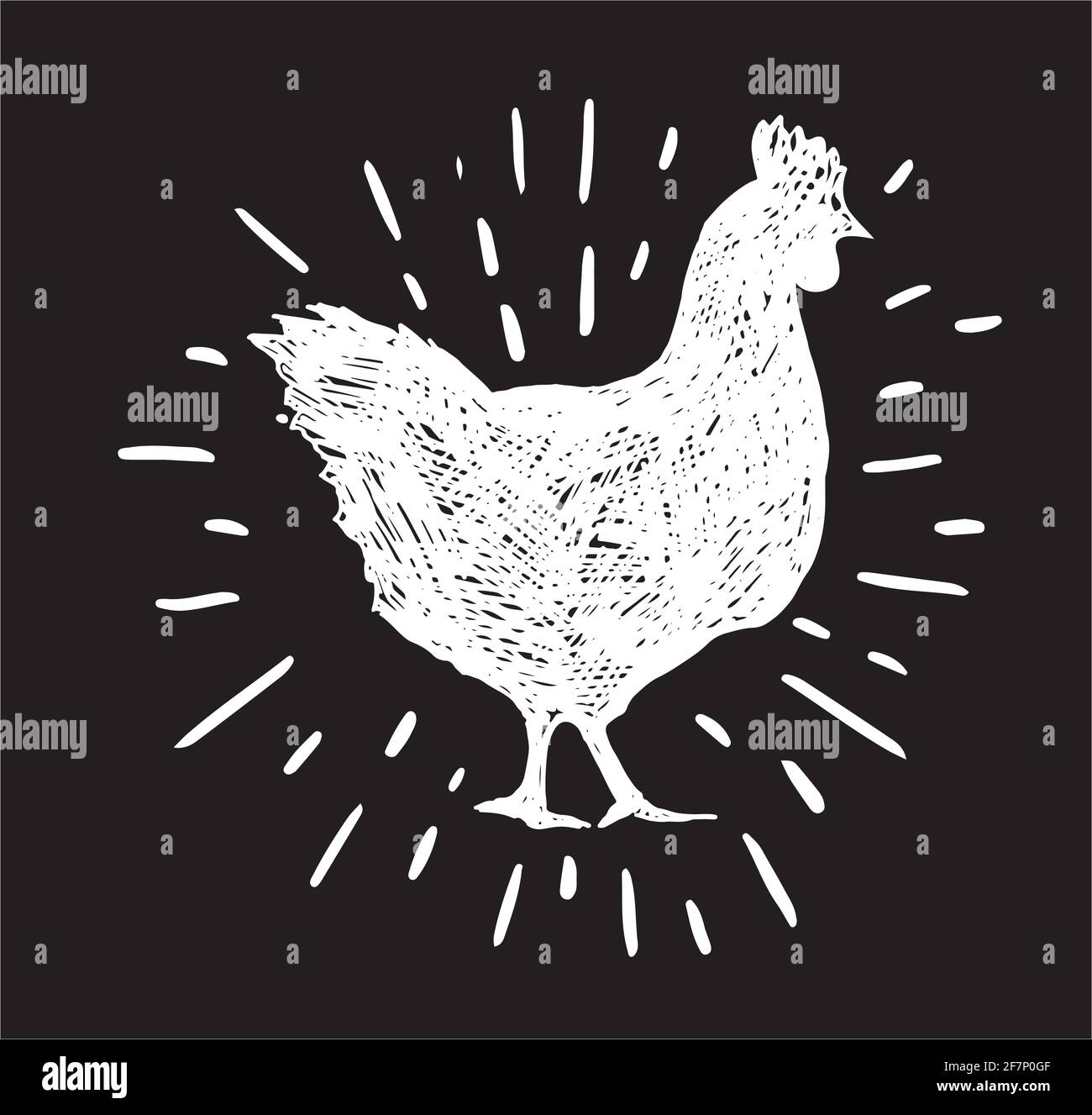 Chicken hand drawn illustration, Vector illustration Stock Photo - Alamy