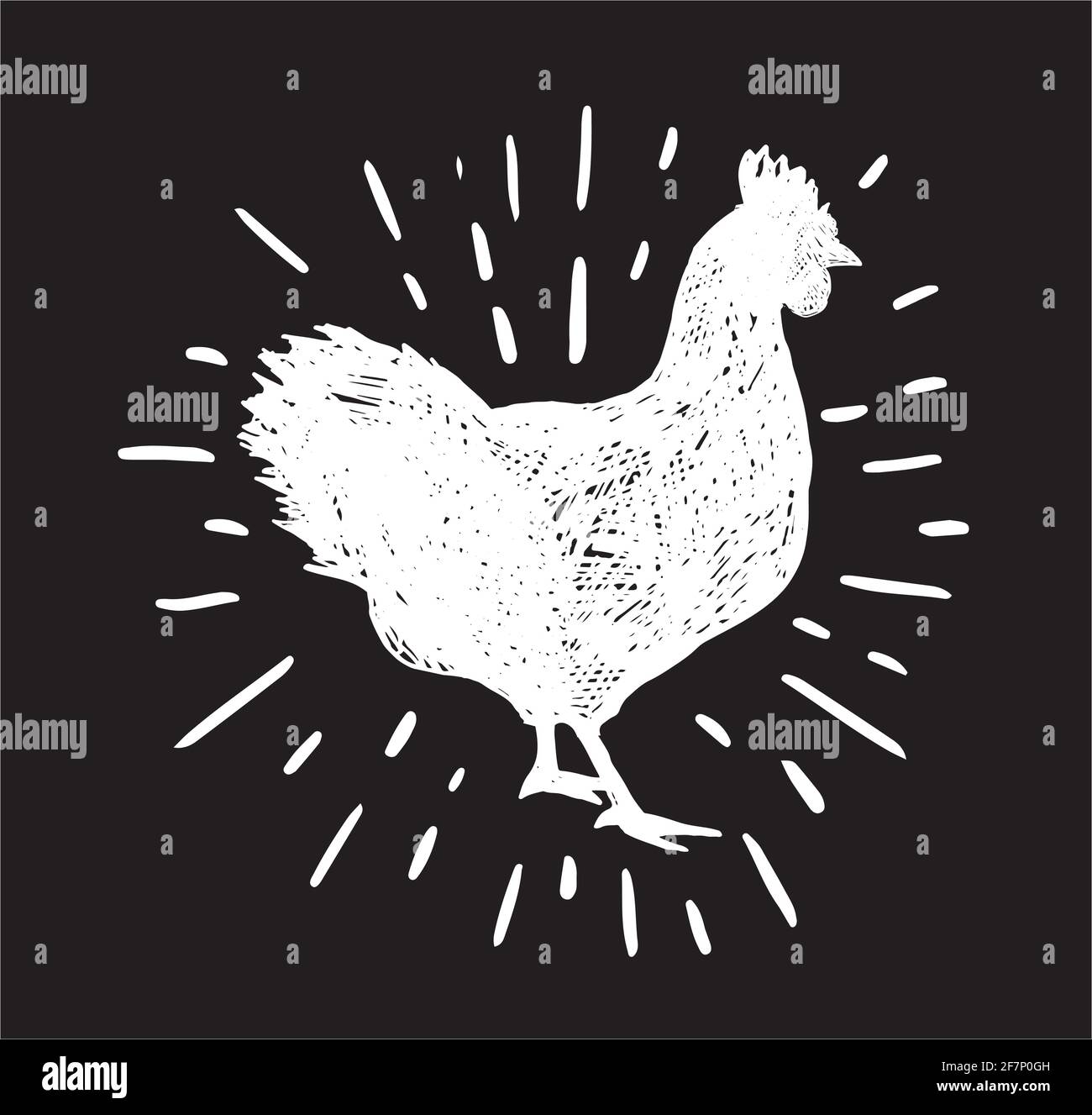Chicken hand drawn illustration, Vector illustration Stock Photo - Alamy