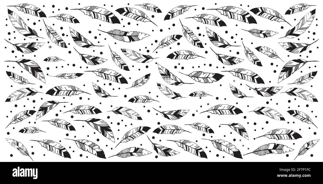 Feather beauty illustrations hi-res stock photography and images - Alamy