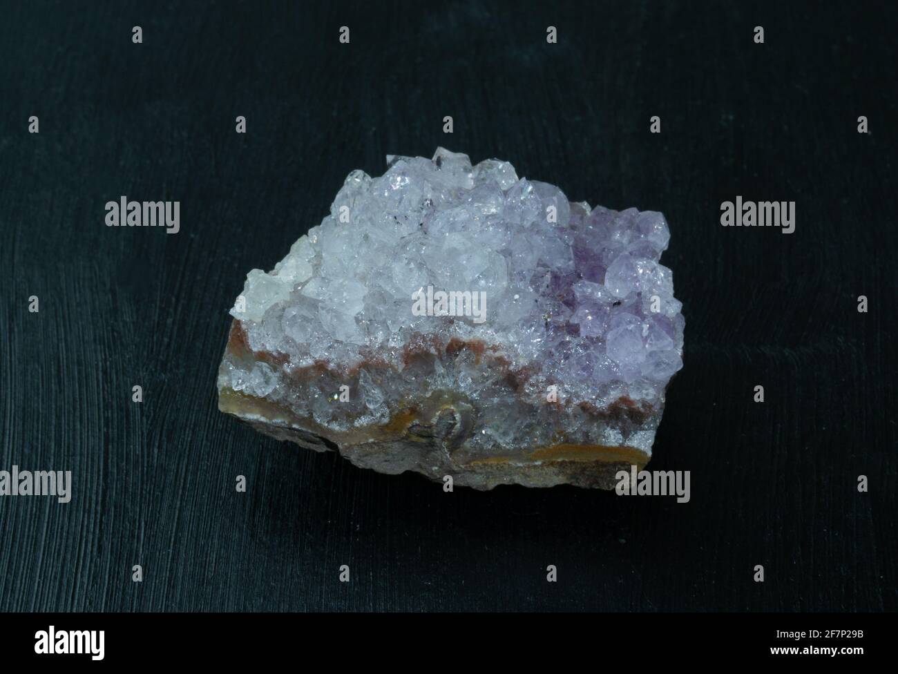 Violet variety hi-res stock photography and images - Alamy