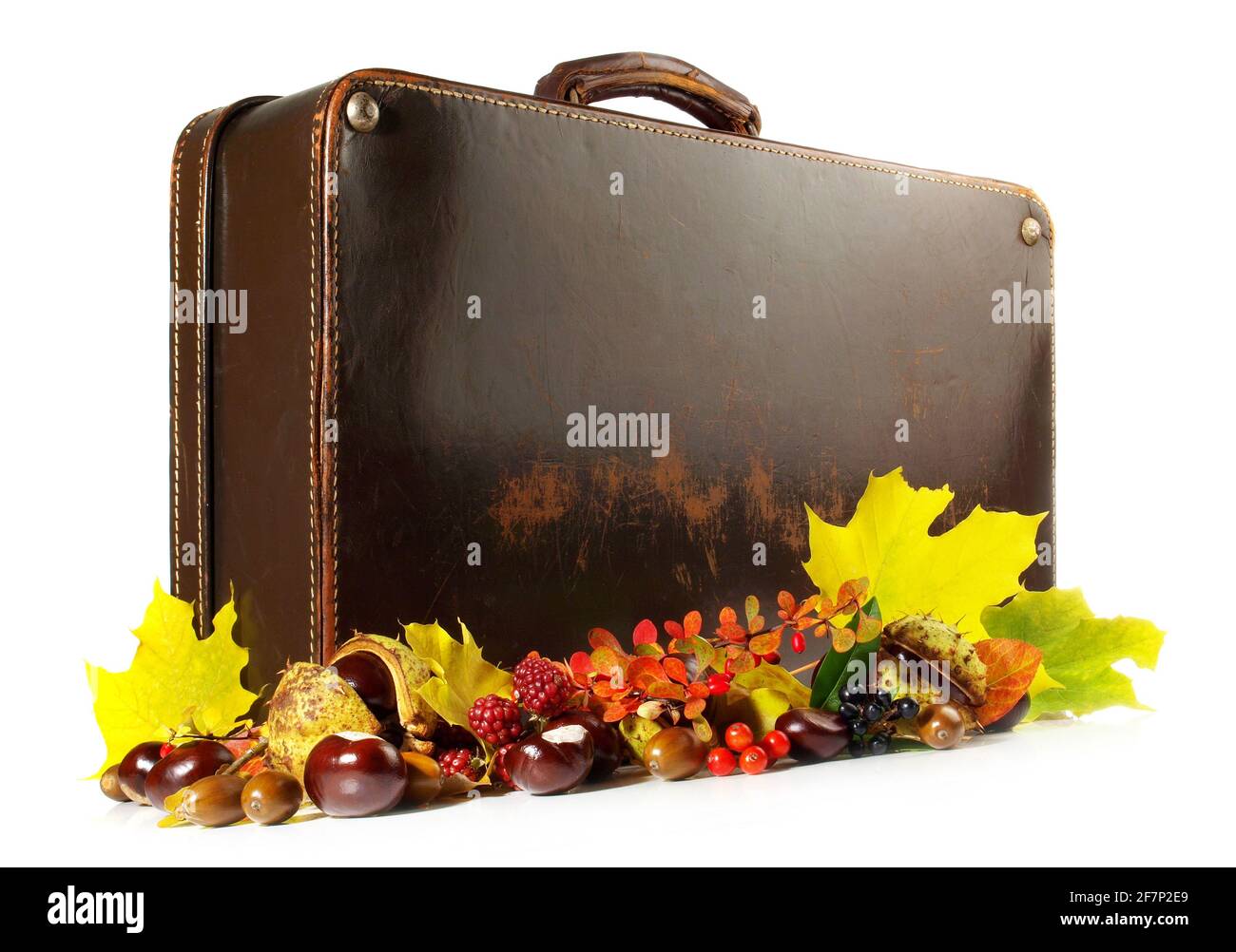 Old Suitcase with Autumn Leaves isolated on white Background Stock ...