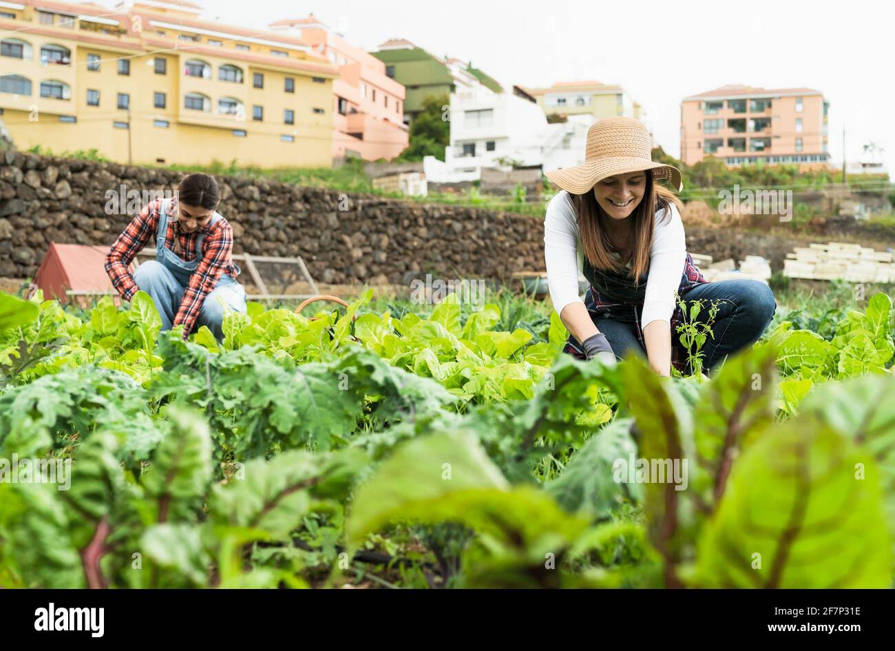 Female farm workers hi-res stock photography and images - Alamy