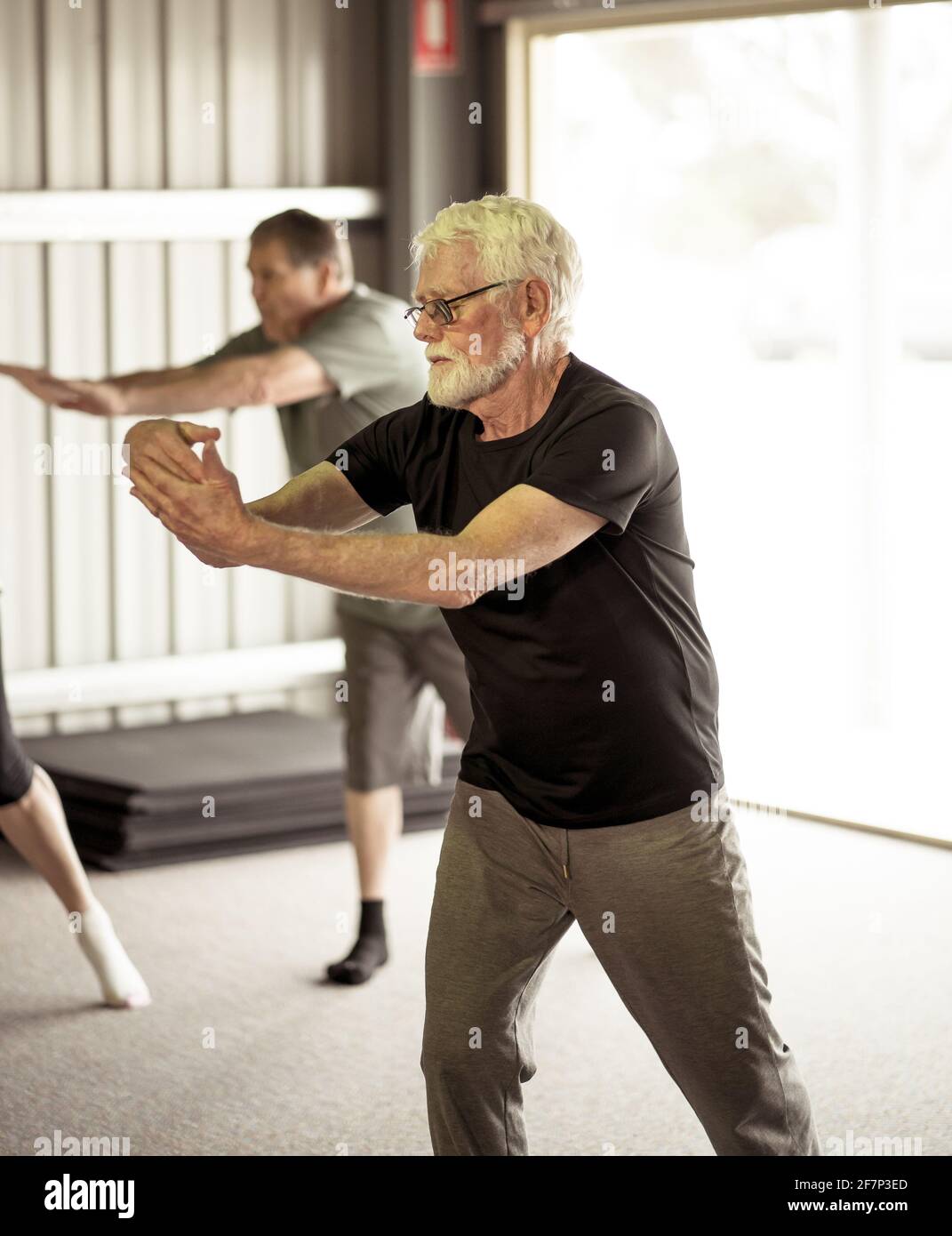 Group of seniors in Tai Chi class exercising in an active retirement ...