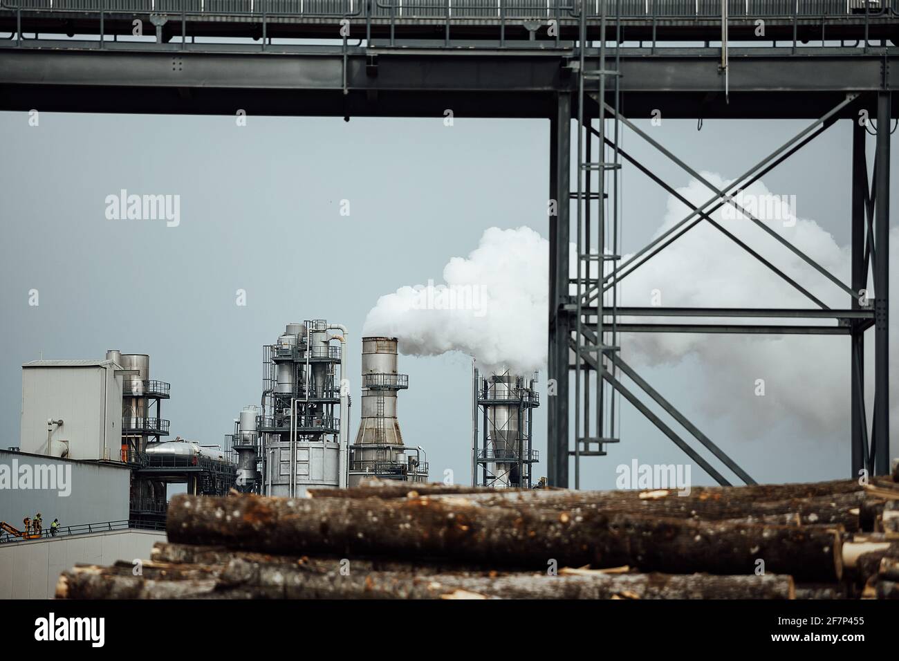 warehouse of felled trees at the factory. smoking factory chimneys ...