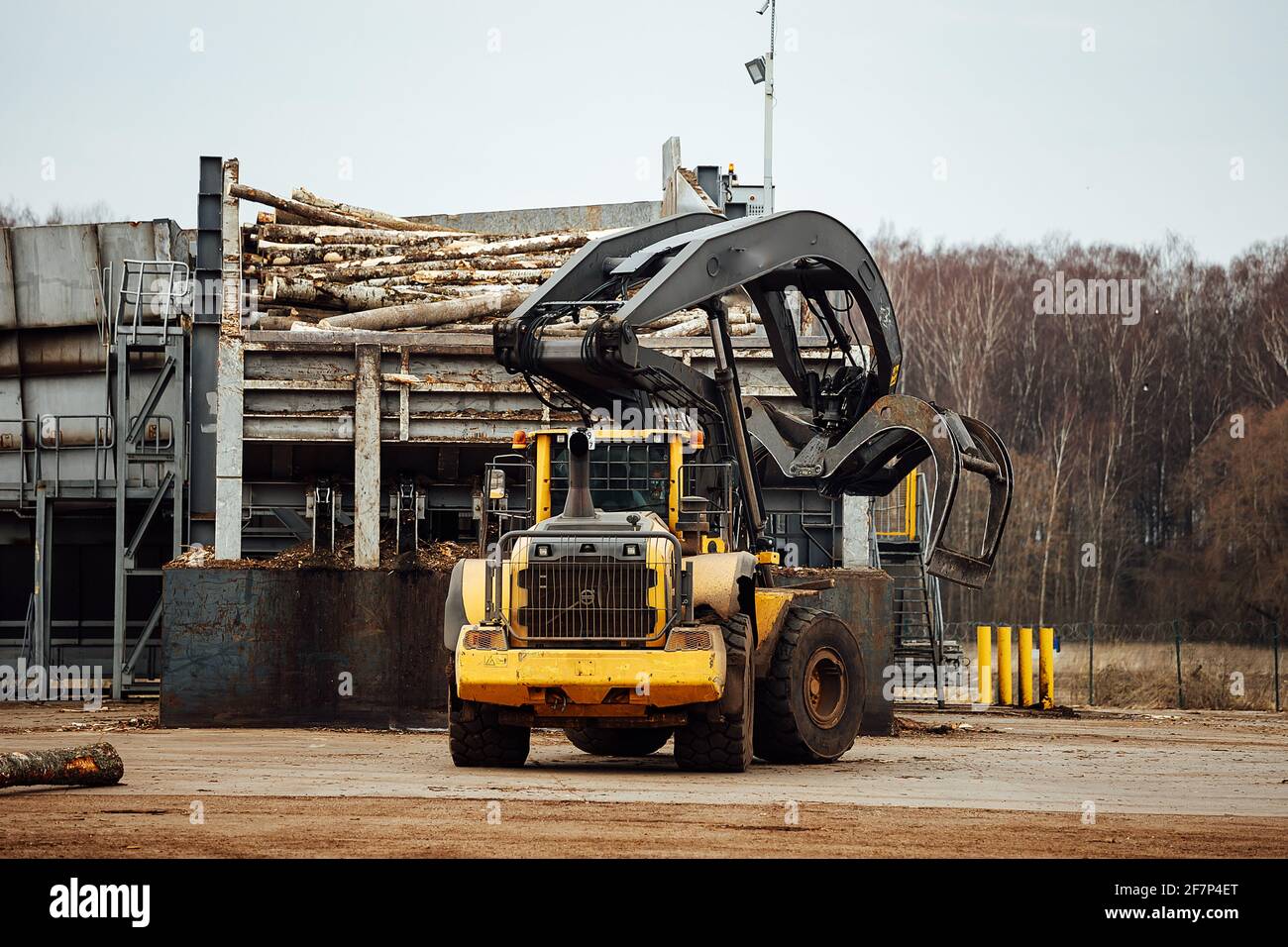 the front loader works in a wood processing plant. industrial excavator ...