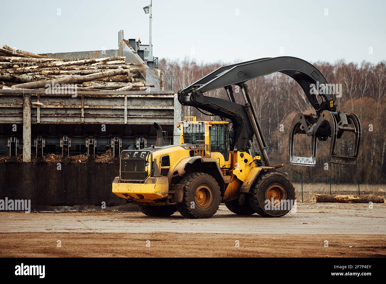 the front loader works in a wood processing plant. industrial excavator ...