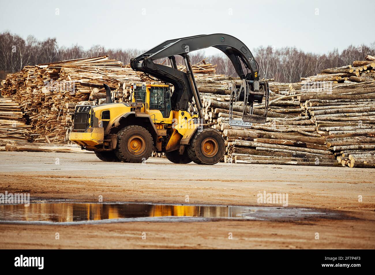 the front loader works in a wood processing plant. industrial excavator ...