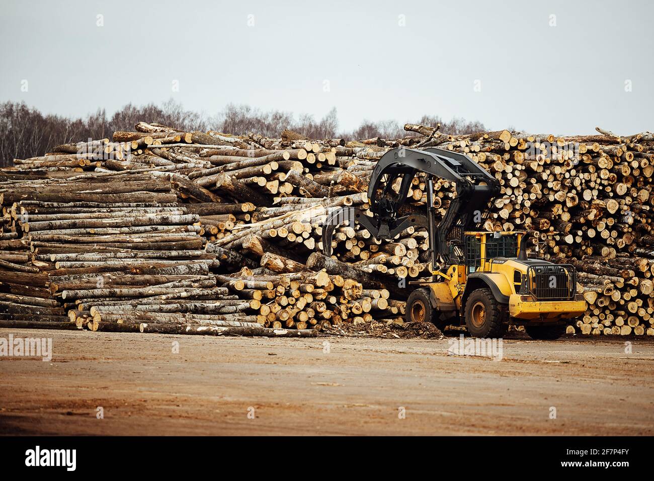 the front loader works in a wood processing plant. industrial excavator ...