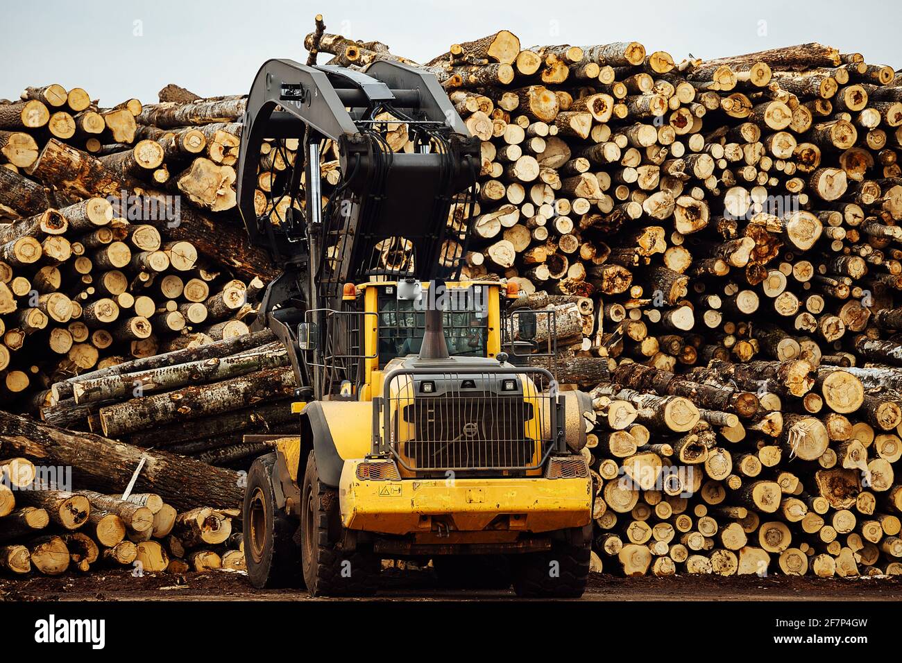 the front loader works in a wood processing plant. industrial excavator ...