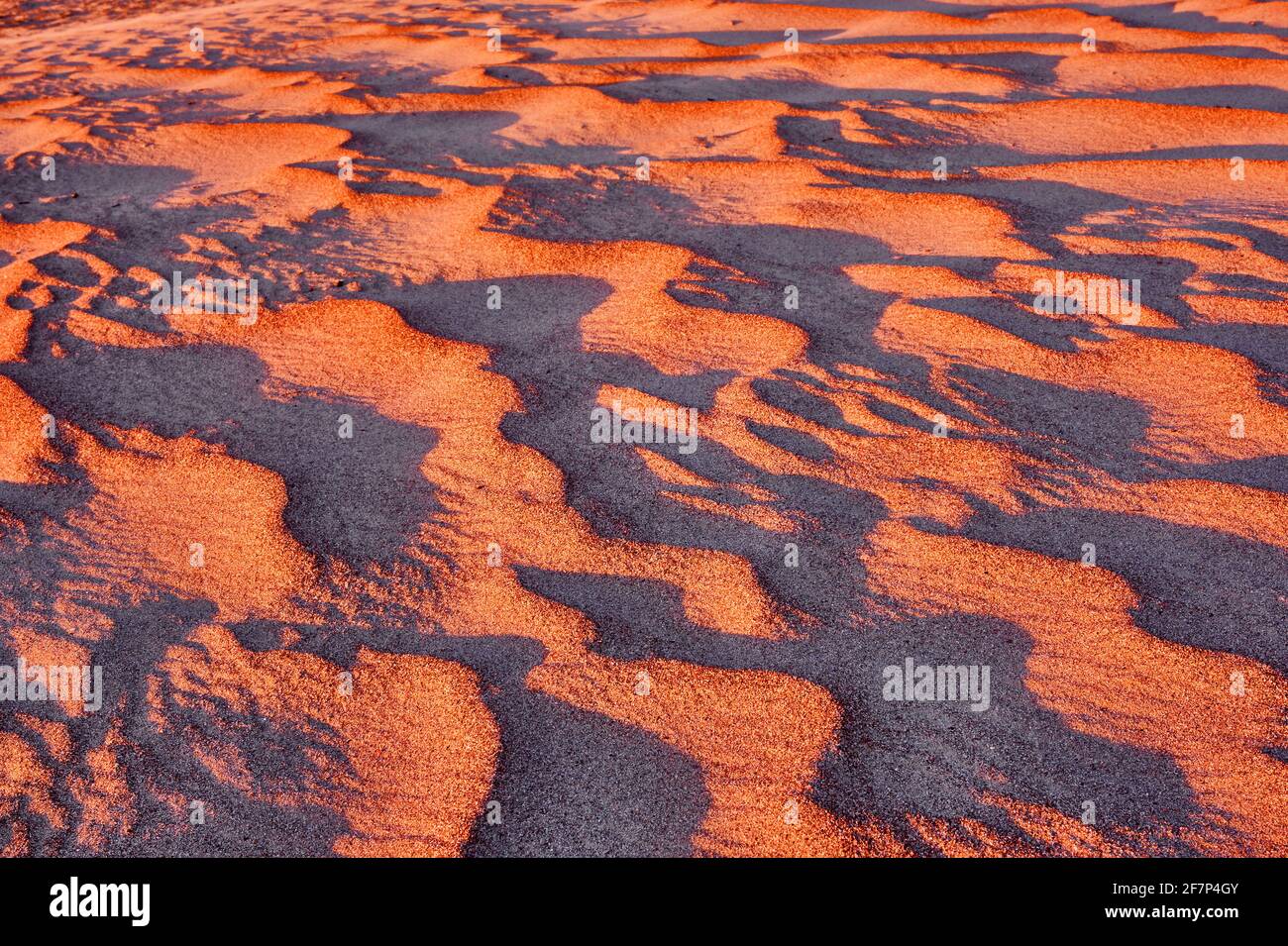 Sun rising at the sahara desert hi-res stock photography and images - Alamy