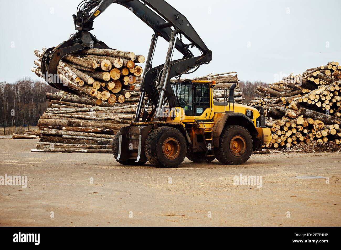 the front loader works in a wood processing plant. industrial excavator ...