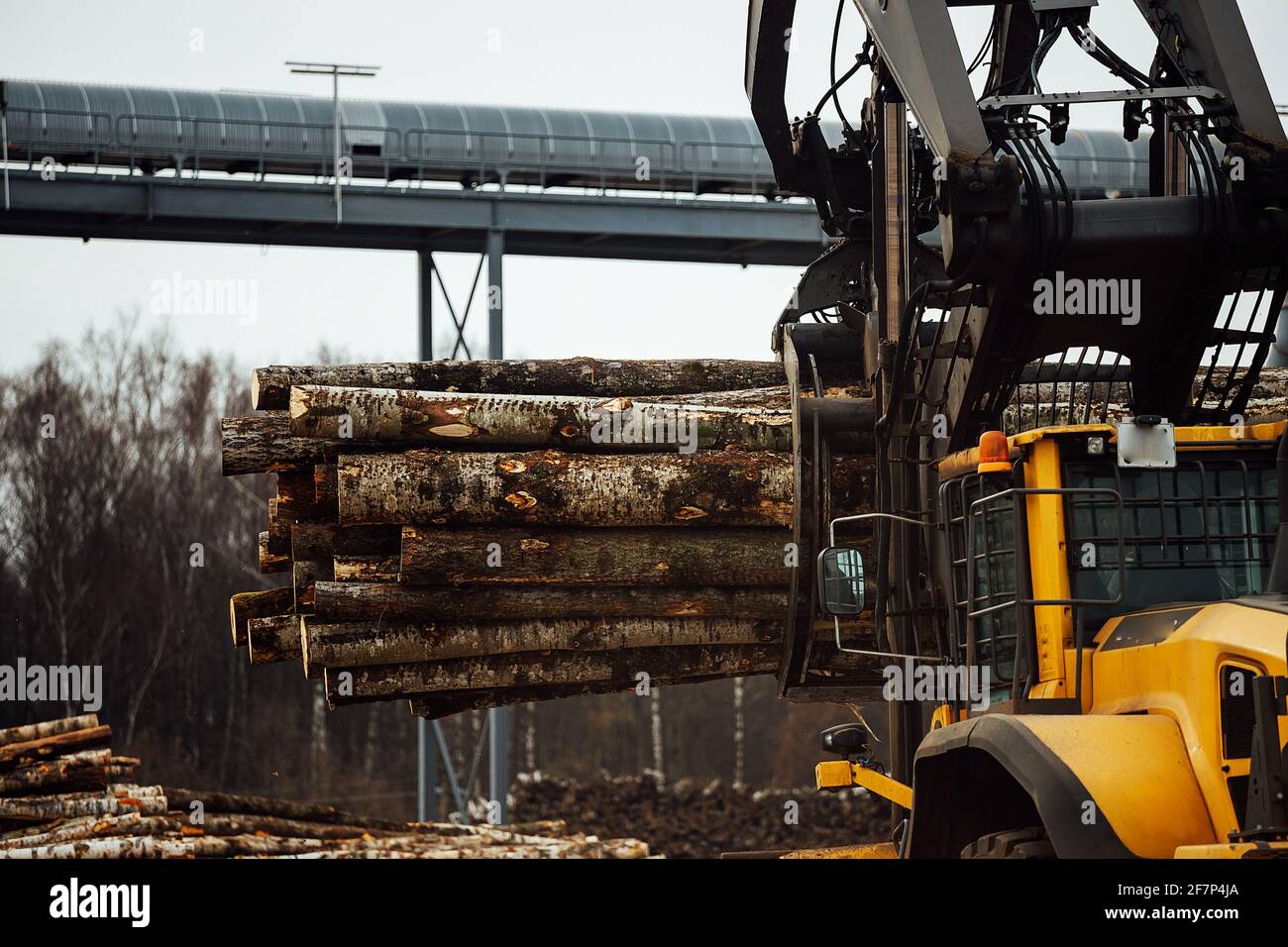 front loader for loading timber. an industrial tractor transports ...