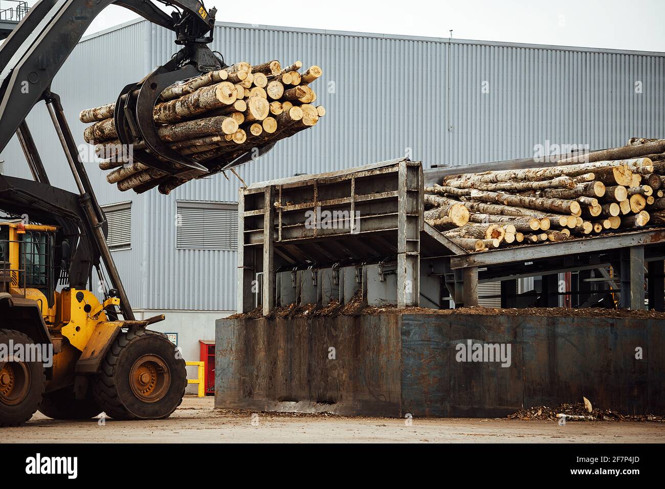 front loader for loading timber. an industrial tractor transports ...