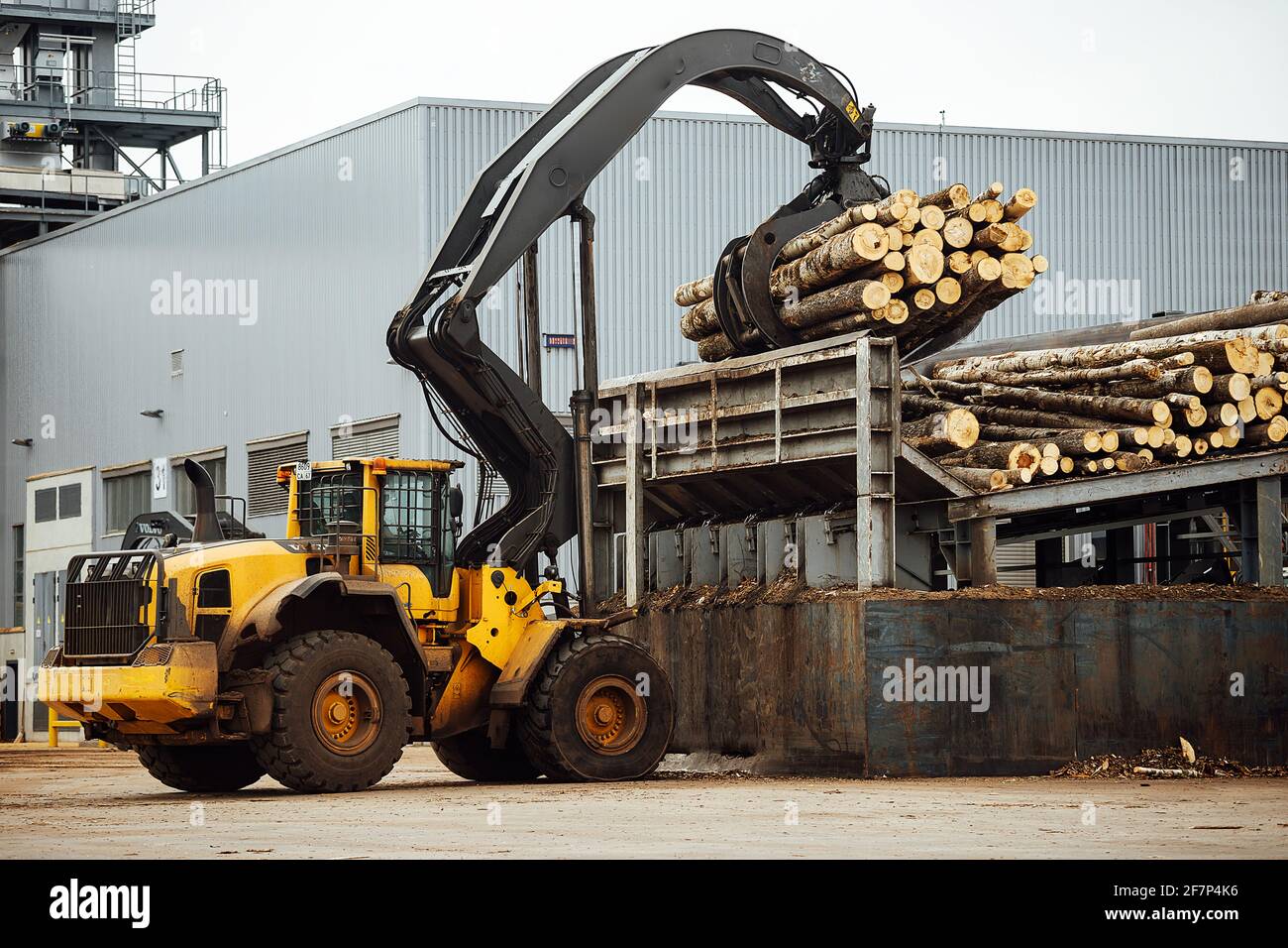front loader for loading timber. an industrial tractor transports ...