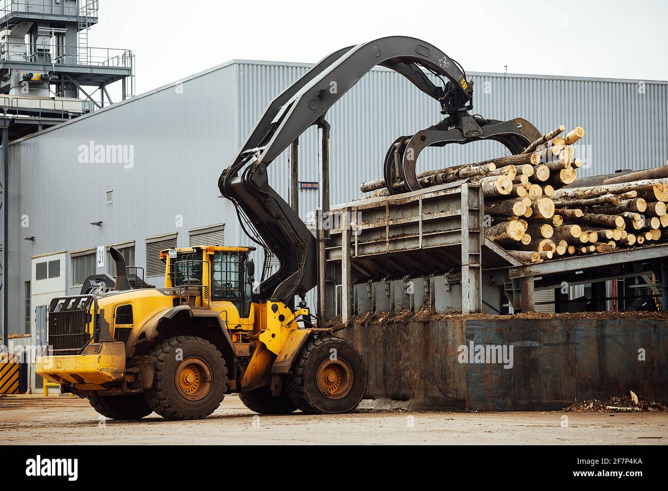 front loader for loading timber. an industrial tractor transports ...