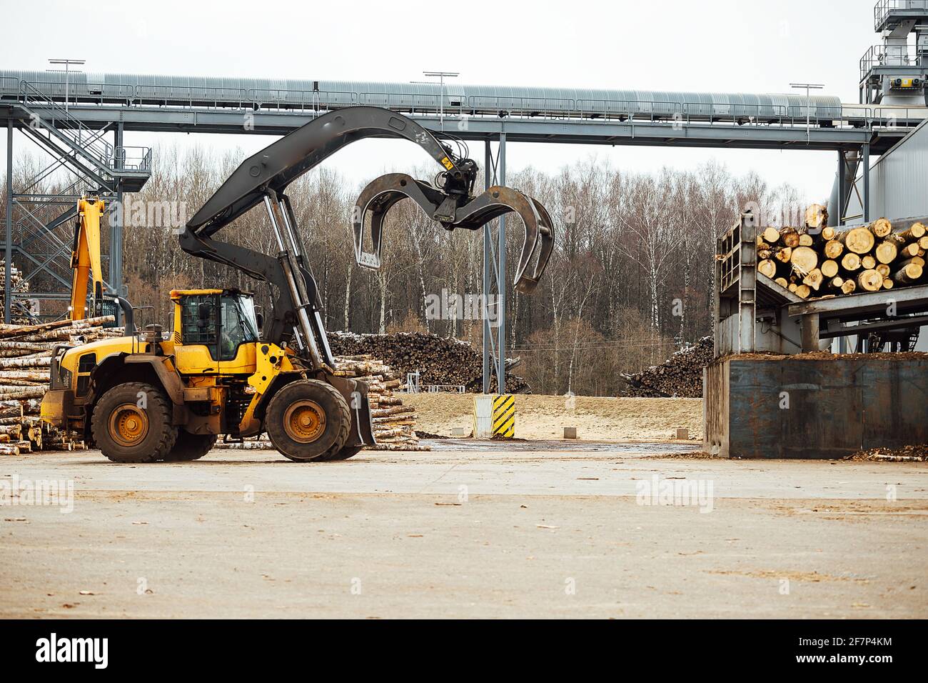 front loader for loading timber. an industrial tractor transports ...