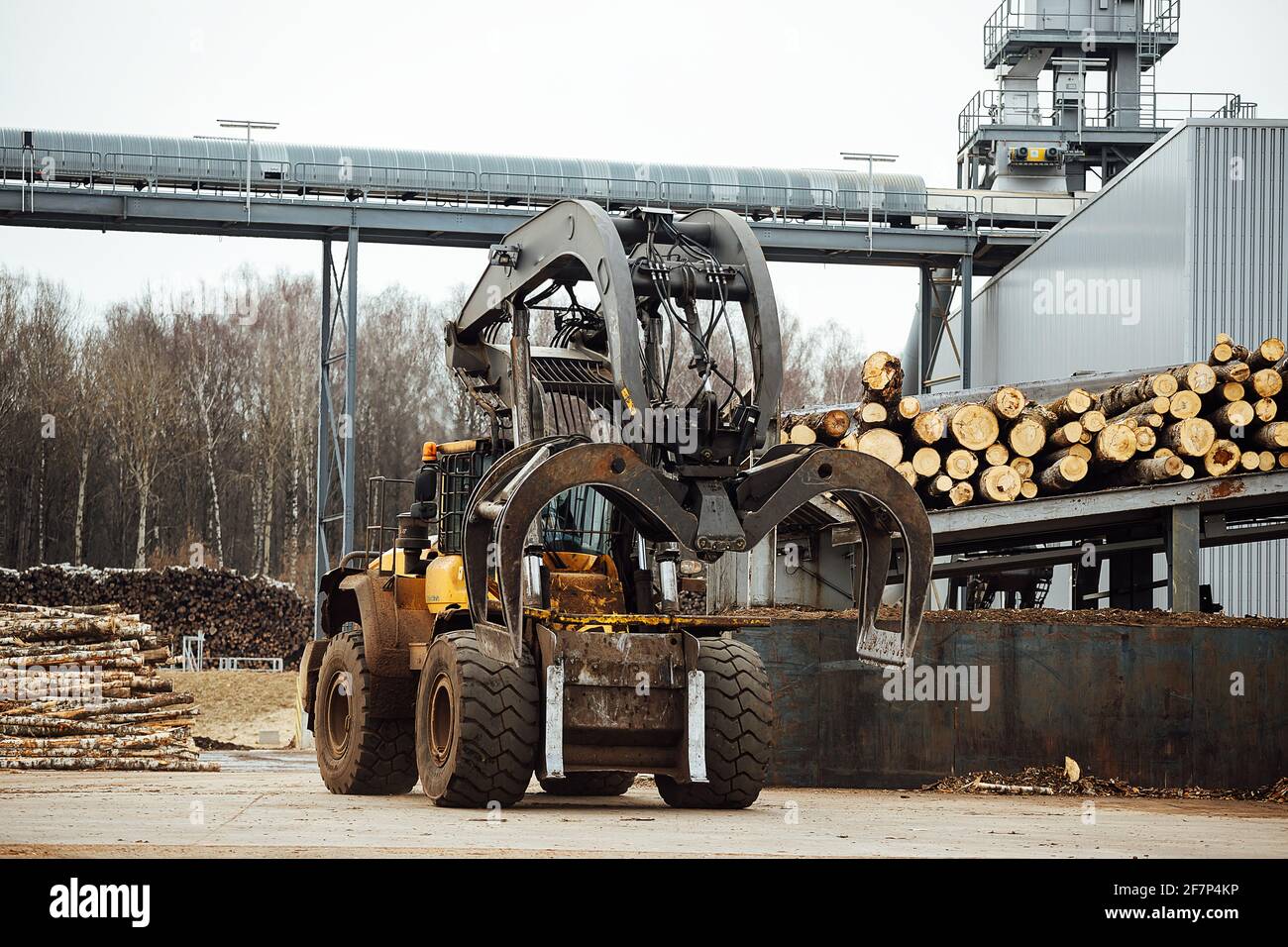 front loader for loading timber. an industrial tractor transports ...